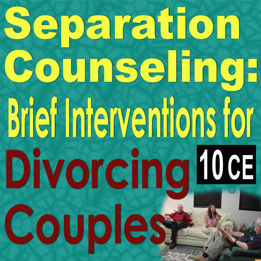 Separation Counseling: Brief Interventions for Divorcing Couples